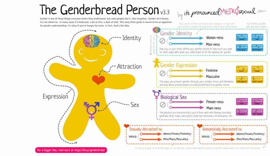 La "genderbread person": le origini del pericolo nel DDL Zan - La Fionda